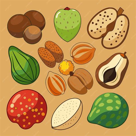 A Set Of Different Nuts Clipart Cartoon Style Vector Illustration