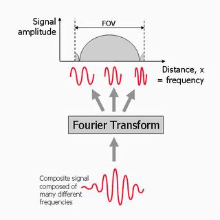 Phase Encoding Steps And Repetition Time TR To Acquire Sufficient Download Scientific Diagram