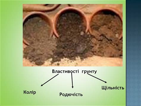 Ґрунтове середовище життя Пристосування організмів до життя у ґрунті