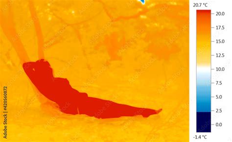 Thermographic Thermal Heat Camera Image Of Naked Nude Human Women In Natural Environment Stock