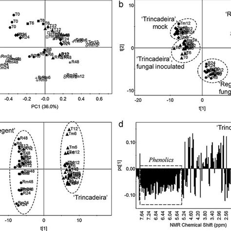Score Plot Of Pca A O2pls Da Based On Four B And Two C Classes Download Scientific