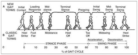Gait Physiopedia