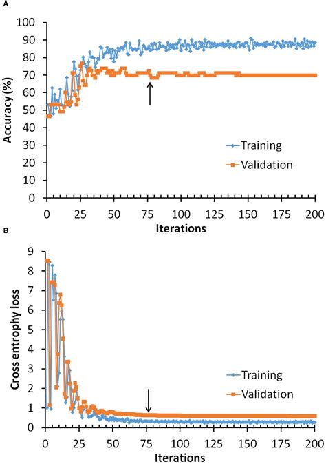 Frontiers Improving Skin Cancer Detection By Raman Spectroscopy Using