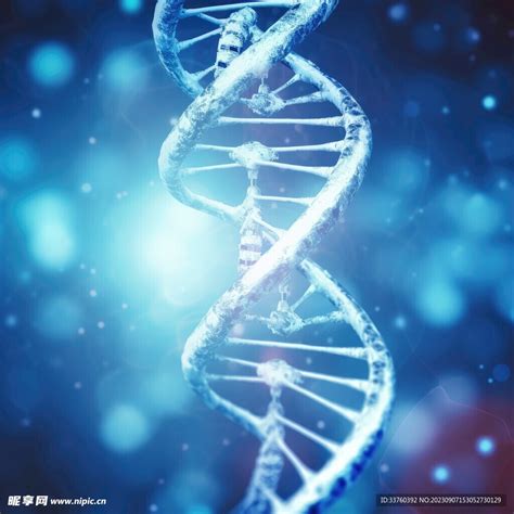 Dna细胞基因模型设计图 医疗护理 现代科技 设计图库 昵图网
