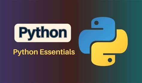 Python Basics