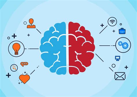 El Cerebro Se Divide En Dos Hemisferios El Hemisferio Izquierdo Es