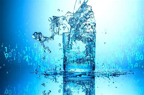 Chaining Xss With Csrf For Session Hijacking Lab By Yasmeen Rezk