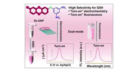 High Selectivity Fluorescence And Electrochemical Dual Mode Detection Of Glutathione In The
