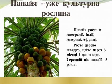 Природні зони Африки Пустелі й напівпустелі Твердолисті ліси й чагарники презентация онлайн