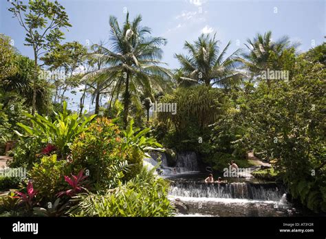 Costa Rica La Fortuna Tabacon Hot Springs Resort Guests Sitting In Pool Between Thermally Heated