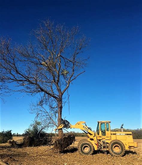 DOMINATOR TREE PULLER CL Fabrication