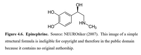Neurotransmitter An Overview Sciencedirect Topics 49 Off