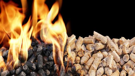 Wood Biomass Boiler Swings Into Action Innovatek