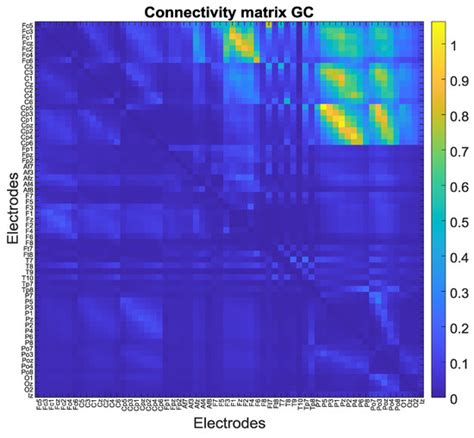 a framework for evaluating dynamic directed brain connectivity estimation methods using