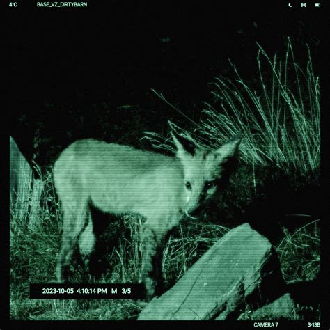 Security Camera Effect Free Behance