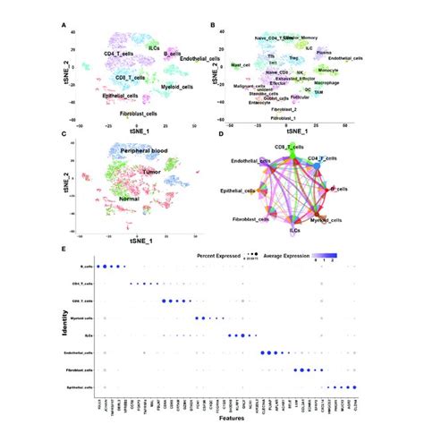 Overview Of Single Cells Derived From Tumors Adjacent Tumor Tissues Download Scientific