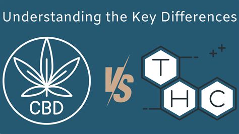 Cbd Vs Thc Understanding The Key Differences Bear Botanicals