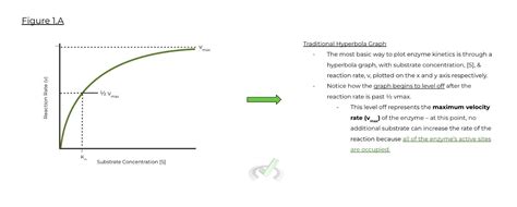 Enzyme Kinetics On The Mcat Mcat Mastery