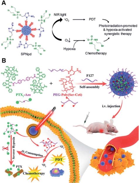 A Schematic Illustration Of A Hypoxia Activable Semiconducting