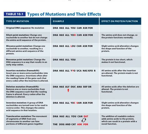Understanding Mutations