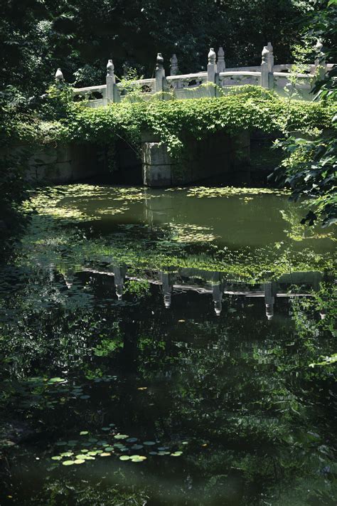 Peking University On Linkedin Hiddenpku