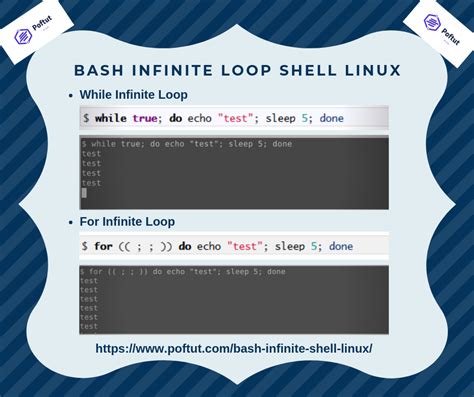 Bash无限循环shell Linux Csdn博客