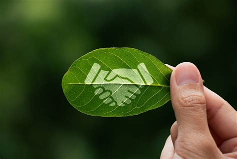 Deforestation Free Trade Gateway Dftg Team Europe Initiative On