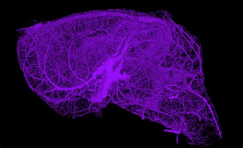 Tasks Controller — Active Atlas Preprocessing Pipeline 10 Documentation