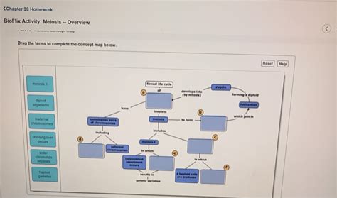 Part A Meiosis Concept Map Map
