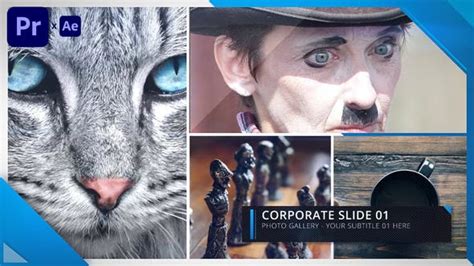 Dynamic Gallery Video Templates Envato Elements