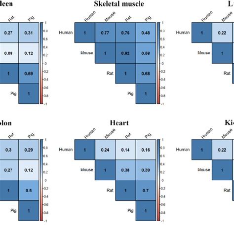 Correlation Of Tissue Specific Expression Across Different Species