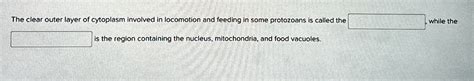 The Clear Outer Layer Of Cytoplasm Involved In Locomotion And Feeding