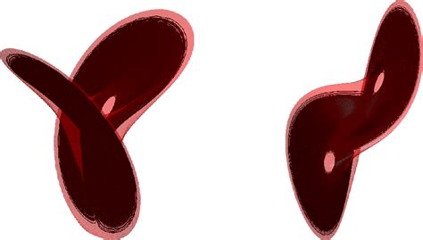 Figure 1 From Converging Outer Approximations To Global Attractors