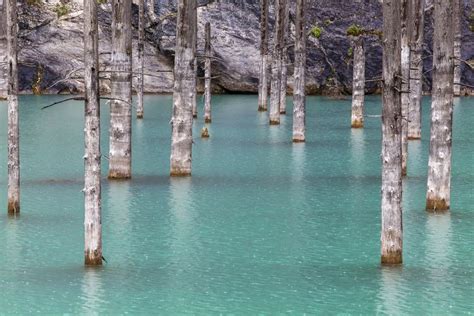 Les 10 Forêts Les Plus Extraordinaires Du Monde Les Echos