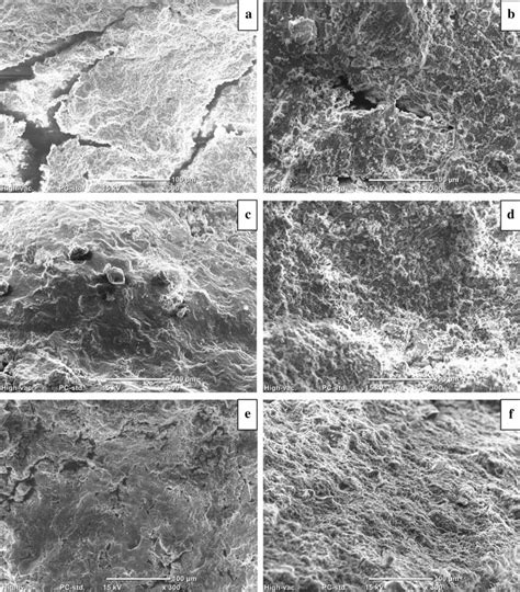 exemplar sem micrographs for the rt cured mixtures a control b c10 c