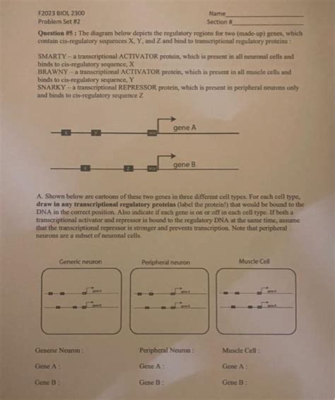 Solved F2023 BIOL 2300 Name Problem Set 112 Section Question Chegg Com