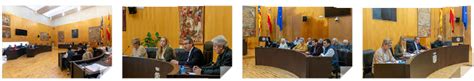 El Consejo Vecinal Aprueba El Autorreglamento De Presupuesto