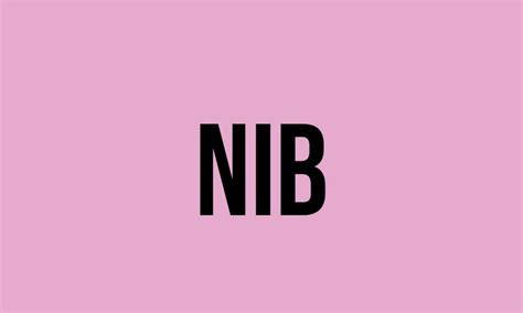 What Does Nib Mean Meaning Uses And More FluentSlang
