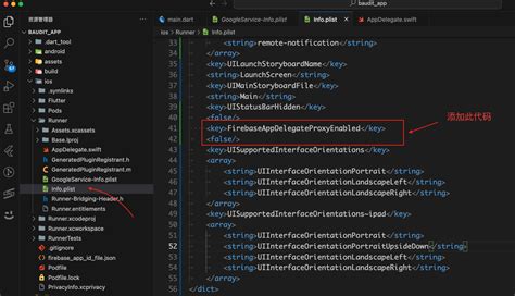 Flutter Ios Firebase 消息通知错误 I Cor000005，i Fcm001000 解决 Firebasecore I Cor000005 No App Has