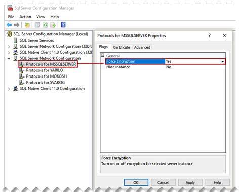 Configuring Sql Database For Alwayson Availability Feature Celiveo 8 Ver 2022 03 22b