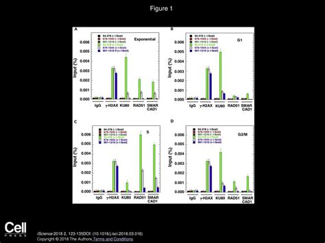 SMARCAD1 Phosphorylation And Ubiquitination Are Required For Resection During DNA Double Strand