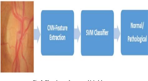 figure 1 from glaucoma detection using convolution neural networks