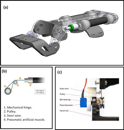 Figure 1 From Adaptive Cooperative Control Strategy For A Wrist