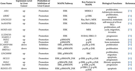 Lncrnas Related To Multiple Mapk Signaling Pathways In Liver Cancer