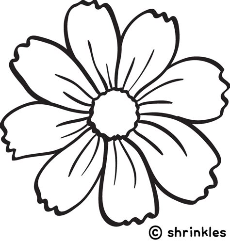 악세사리diy 슈링클스 코스모스 도안 코스모스 일러스트 가을 이미지 꽃 그리기 꽃 색칠공부 코스모스 색칠공부 신기한 마술종이 네이버 블로그