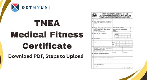 Tnea 2025 Certificate Verification Concluded Check Documents Required Tf Centre List Status