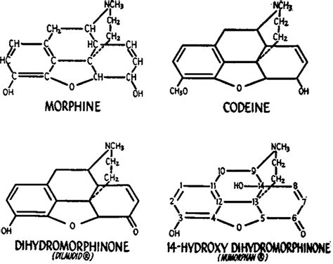 The Analgesic Properties Of Numorphan 14 Hydroxy Dihydromorphinone — A New Synthetic Narcotic