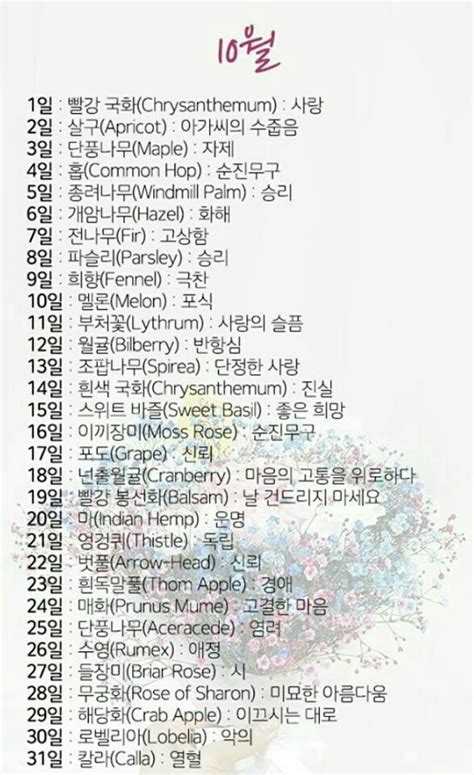 10월 탄생화 현명 인용구 영감을 주는 글쓰기 멋진 명언