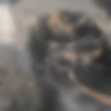 Understanding Mitochondria Isolation Buffers In Research