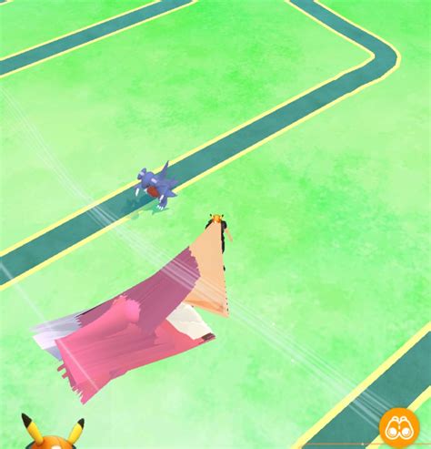 Bug Graphical Bug Flashes On Screen Whenever I See A Gym 01712 Rthesilphroad